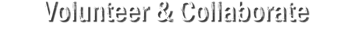 Volunteer Collaborate